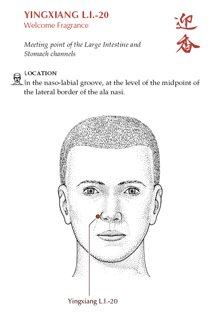 Acupuncture Masters: Acupuncture Points Database - Large Intestine channel