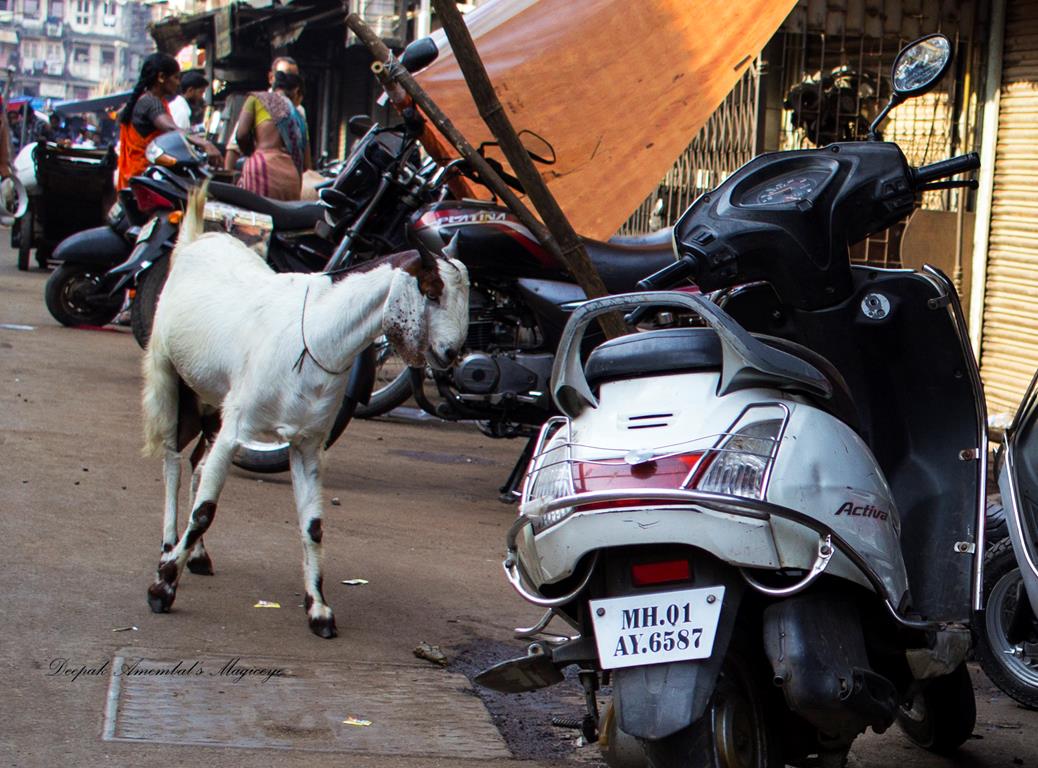 Mumbai Daily: July 2017