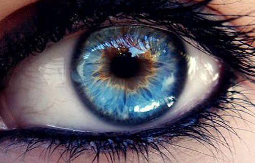 Ceruleo Scuro: Step 19: Anatomia di un colore