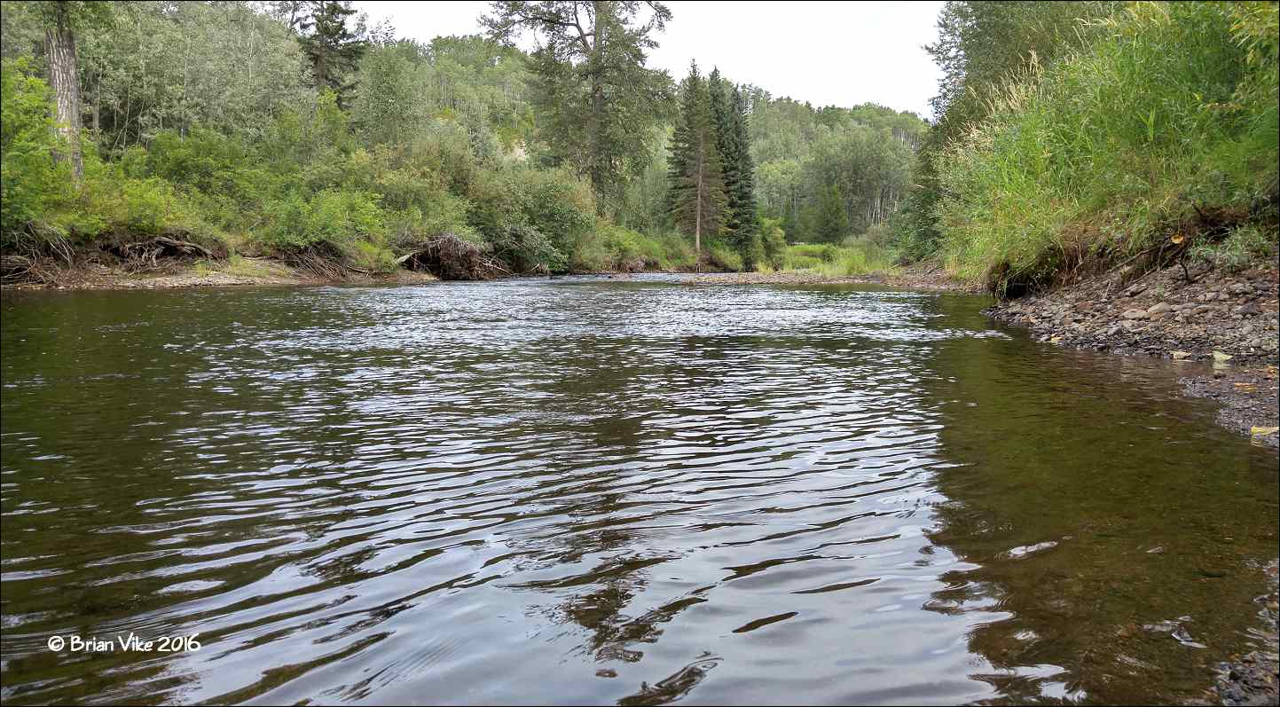 Northern Interior British Columbia: My Little Bulkley River Houston ...
