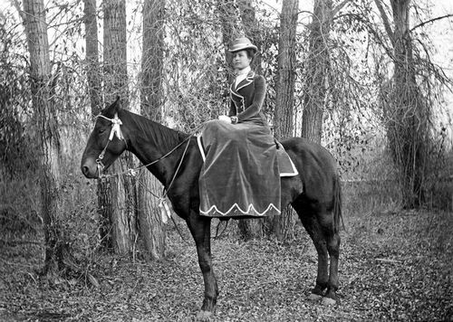 Riding Aside: Antique Cabinet Photos