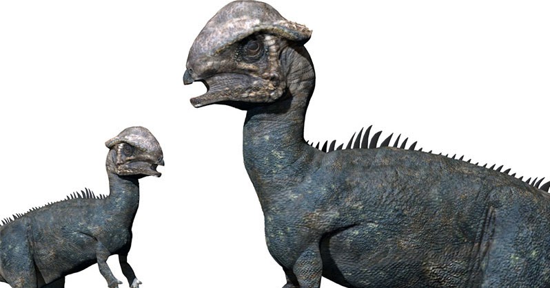 Dinosaur Battlegrounds: Creature Feature 17