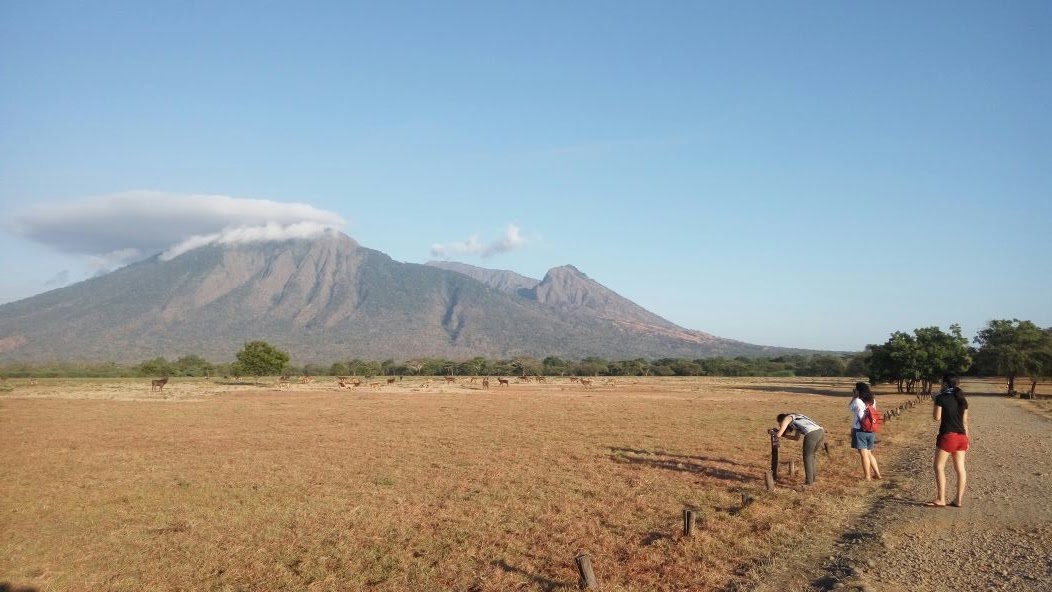 Mount Bromo, Baluran National Park tour 3 days | Bromo Java Travel