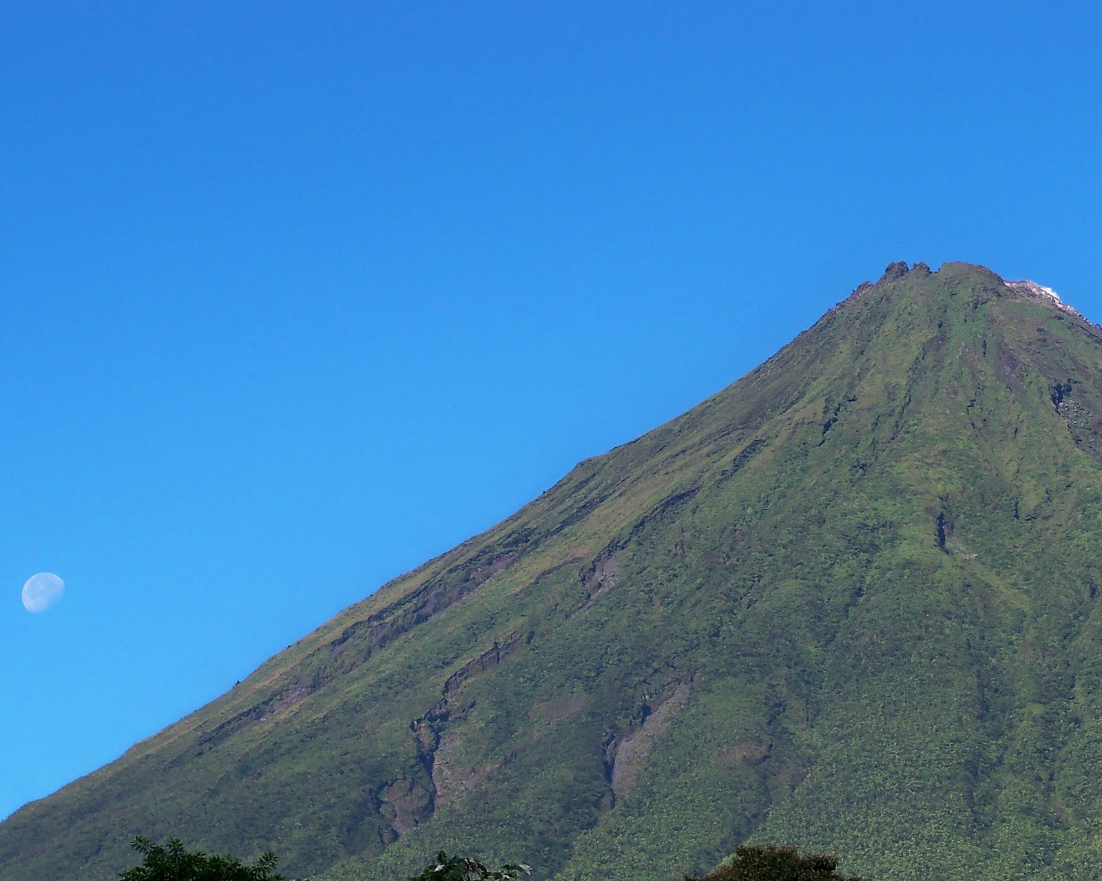 Jungle and Rainforest Art of Costa Rica: "Rainforest Landscapes"