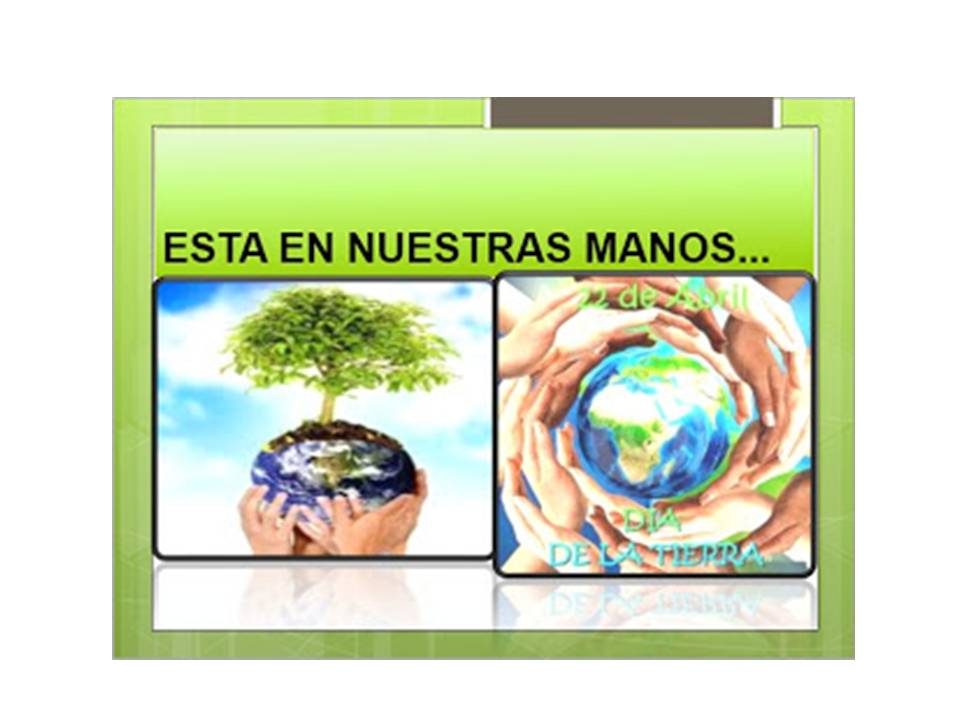 software de aplicacion ejecutivo