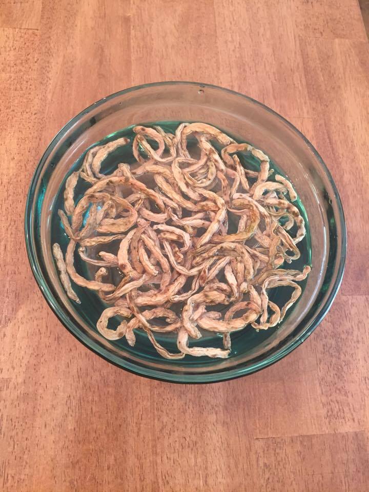 Appalachian Mountain Roots: Have You Ever Eaten Leather Britches?