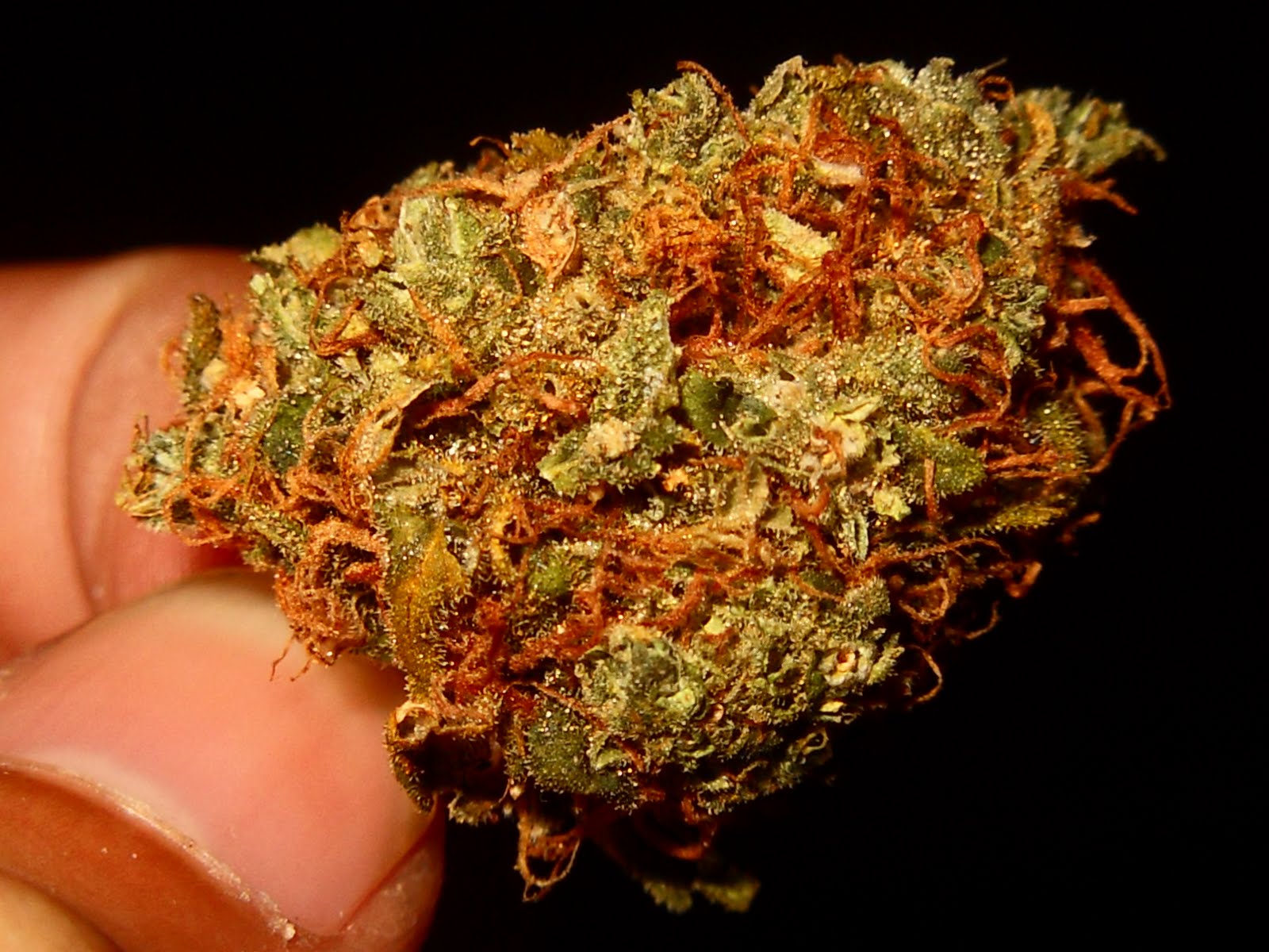 The Herban Legend: Sour Kush