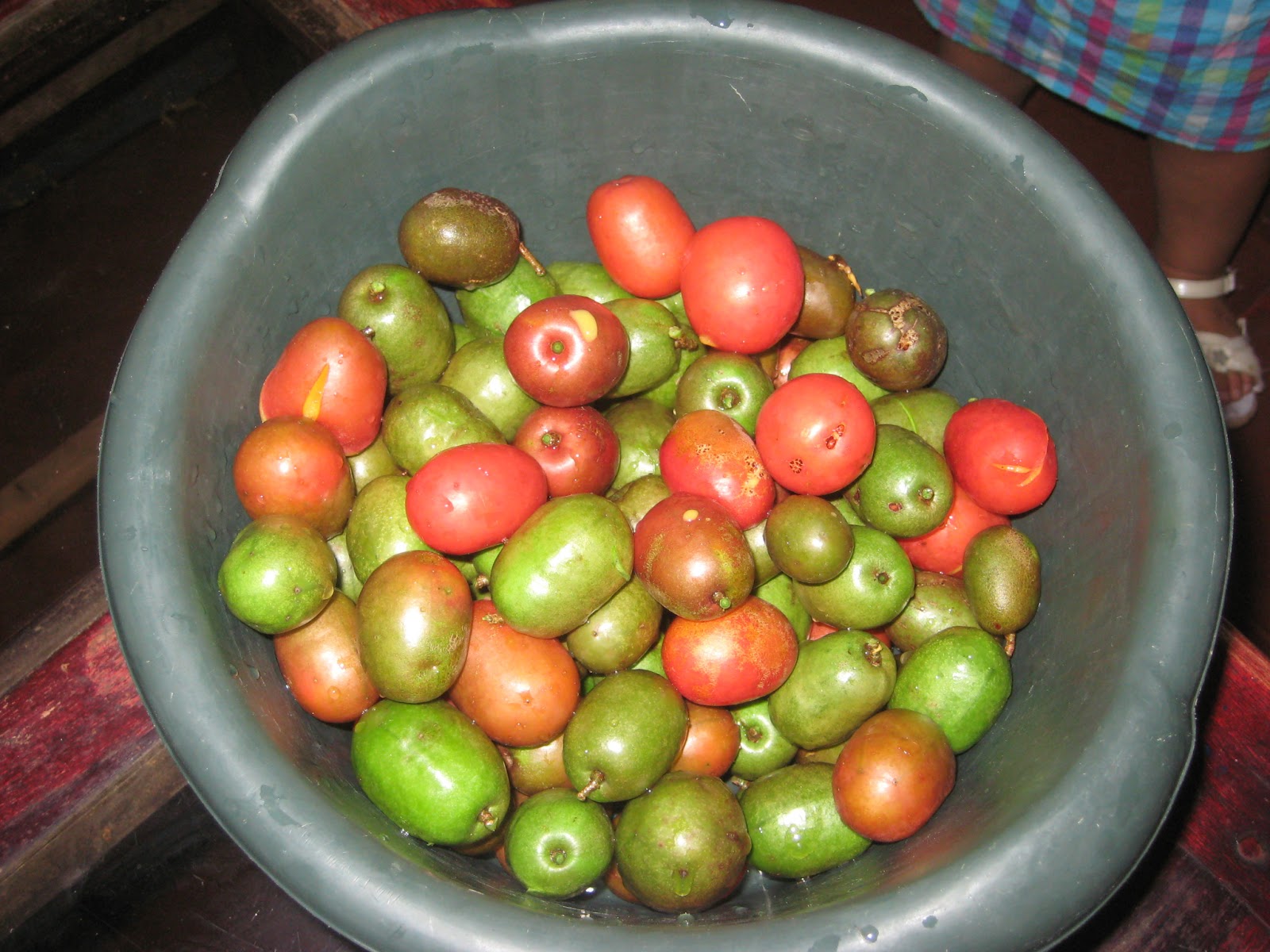 My Nicaraguan Adventure: Jocote