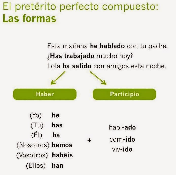 Clases de sol en Bélgica: Practicando el Pretérito Perfecto