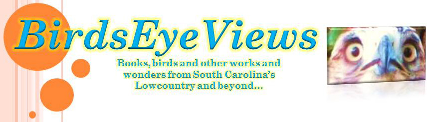 BirdsEyeViews: Now Available: "The Birds of Magnolia Cemetery ...