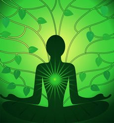 The Heart Chakra- Colour, Symbol, Location and Behavioural personalities