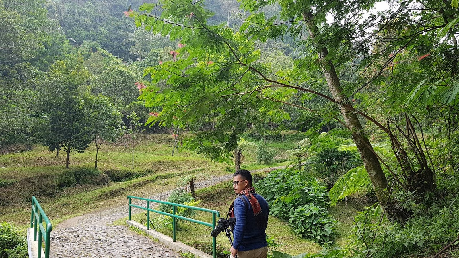 Liburan tahun baru di Kebun Raya Cibodas, Mengunjungi Curug Cibogo dan ...