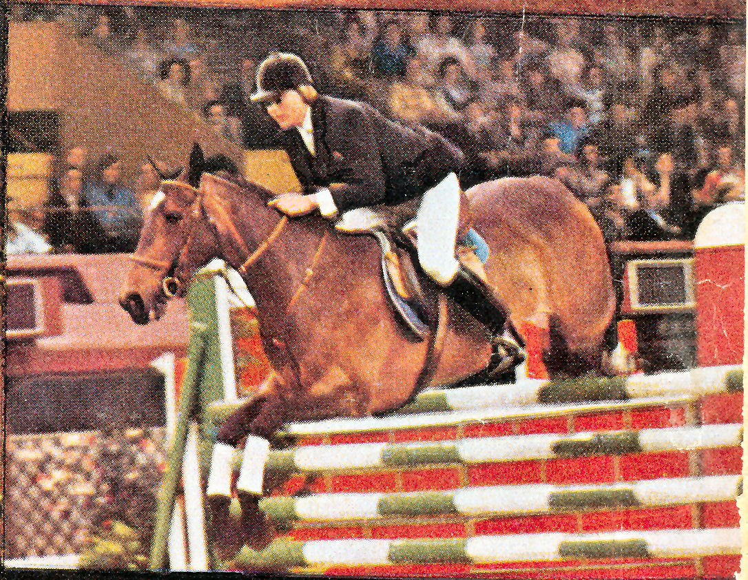 International Winning Irish Bred Horses