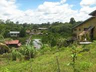 Brunei Share: Kampong Sukang Pictures