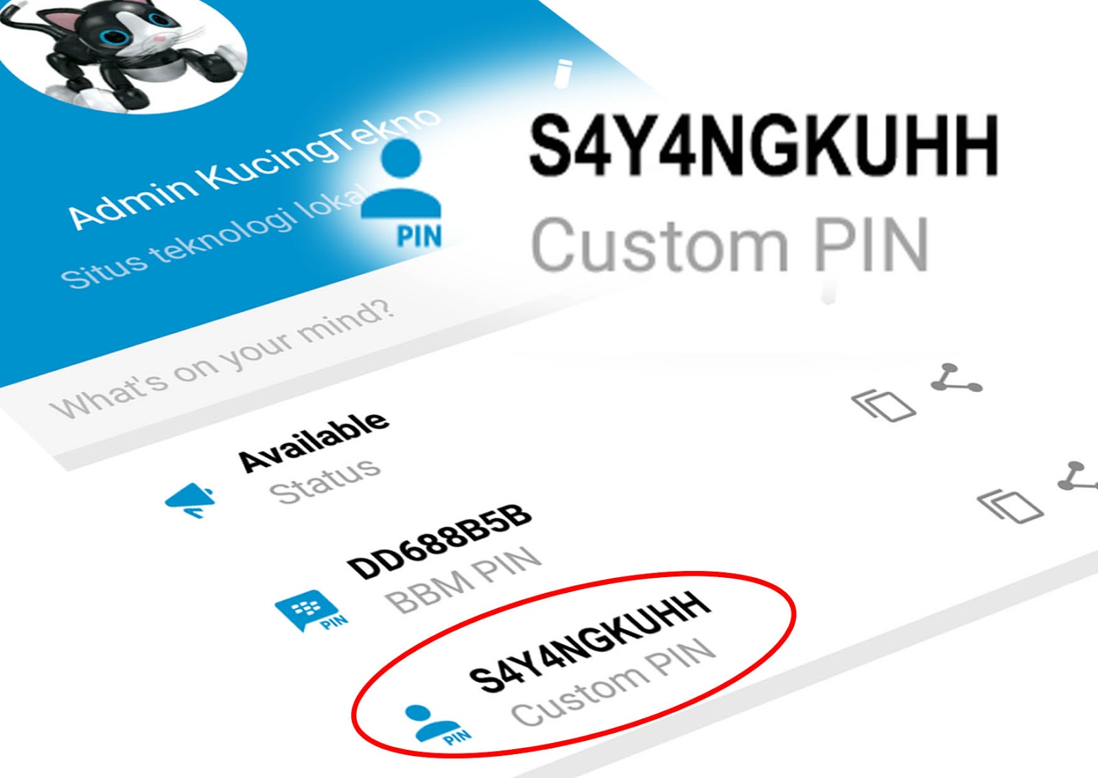 Membuat Pin BBM Cantik Gratis Sesuai Keinginan Tanpa Bayar dan Legal ...