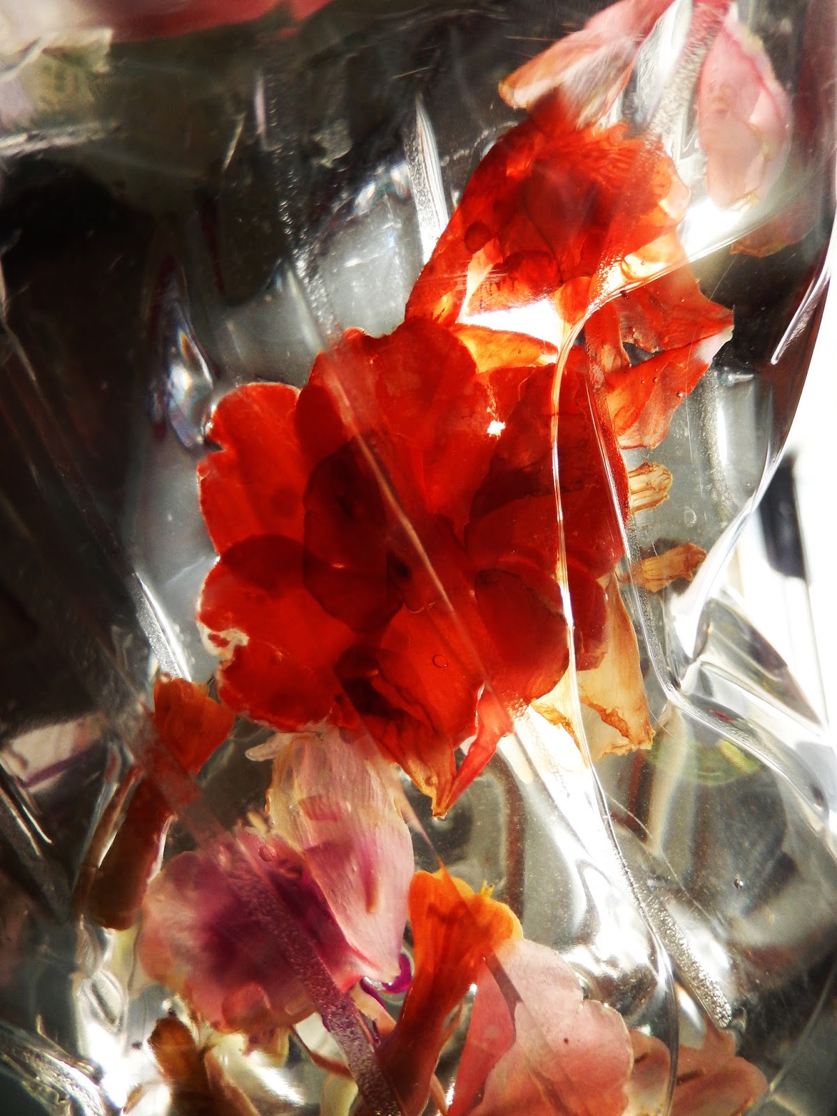 Arq. Myriam Mahiques´art: Trapped flowers and petals. Flores y pétalos ...