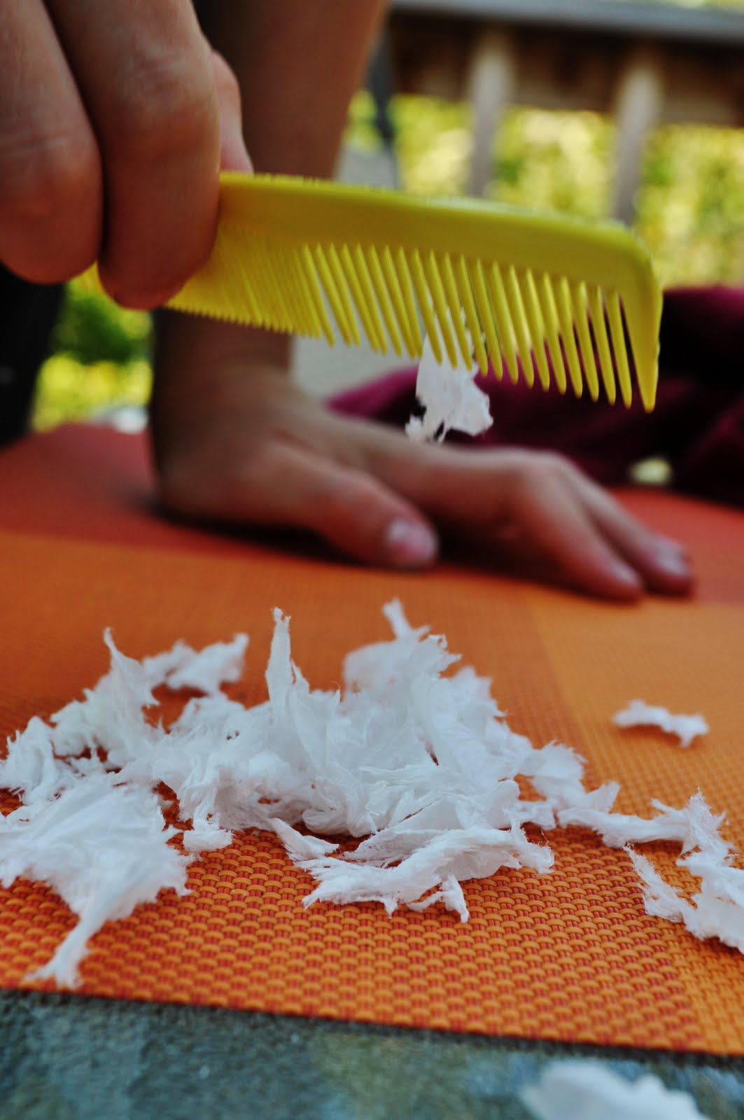 Max's Guide To Awesomeness!: Comb Collector