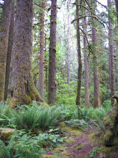 Park Sprinting 2011: Day 1 & 2: Turlo campground in Mt. Baker ...