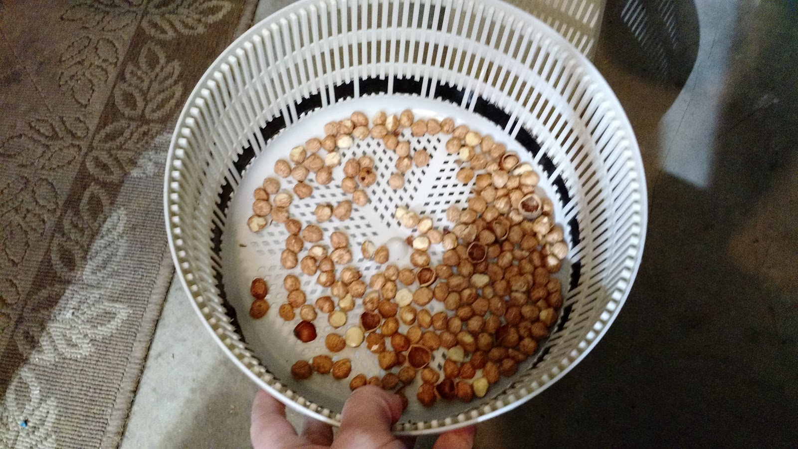 Processing The Hazelnuts Riverbend Hazelnuts
