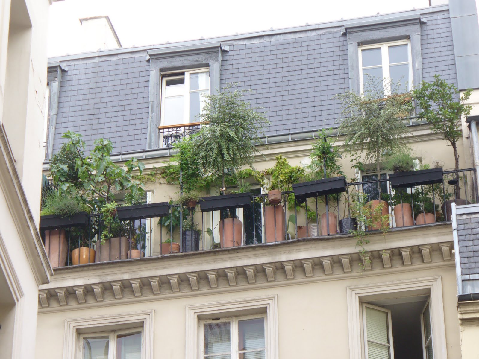Les balcons de Paris: Les balcons à Paris: des jardins suspendus