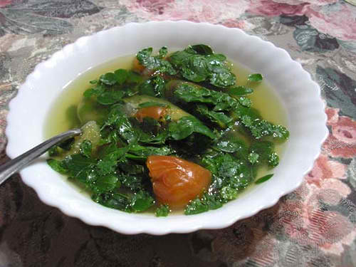 Domino: MALUNGGAY - Moringa Oleifera