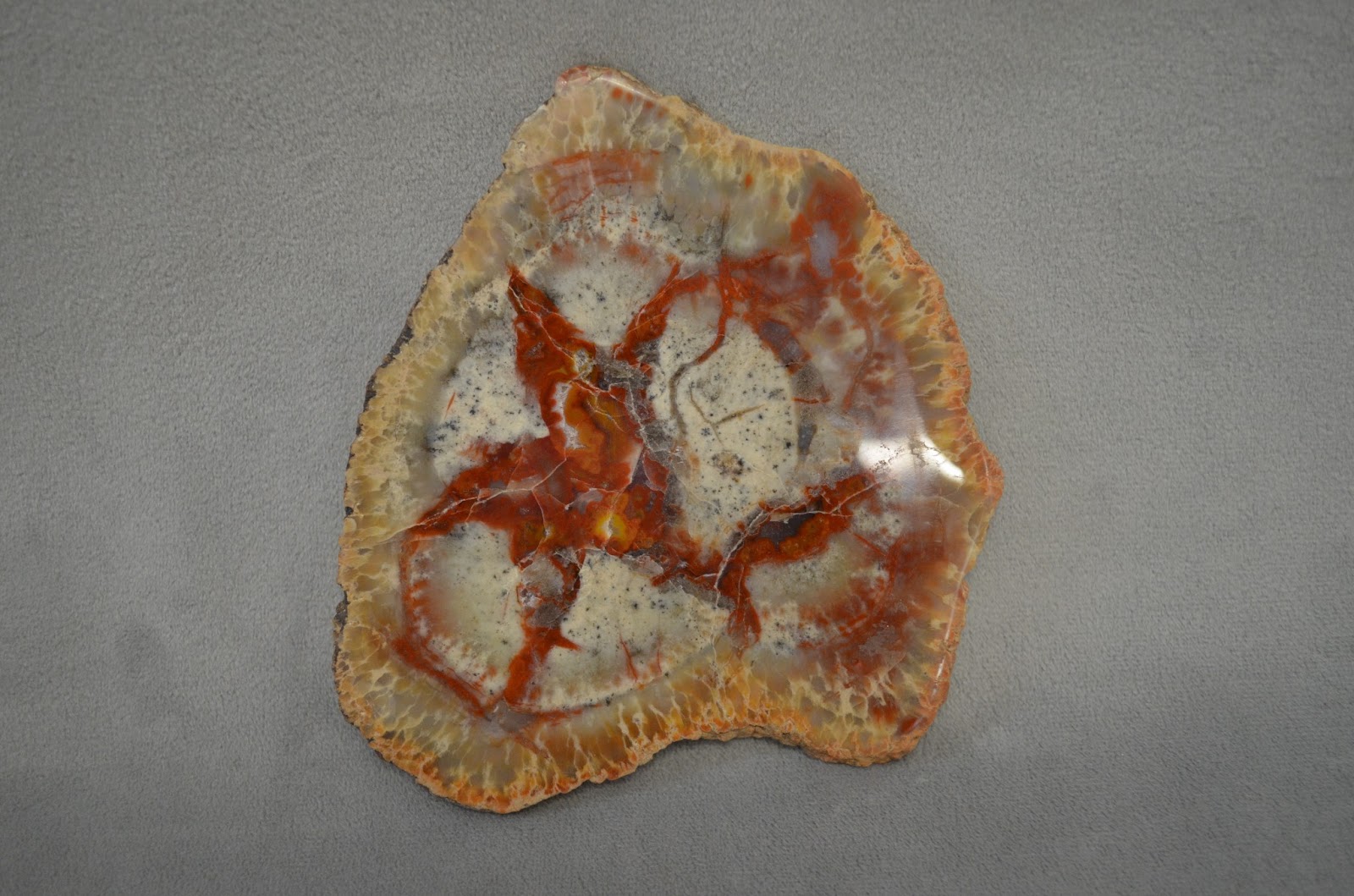 The Crystal Barista : Coprolites