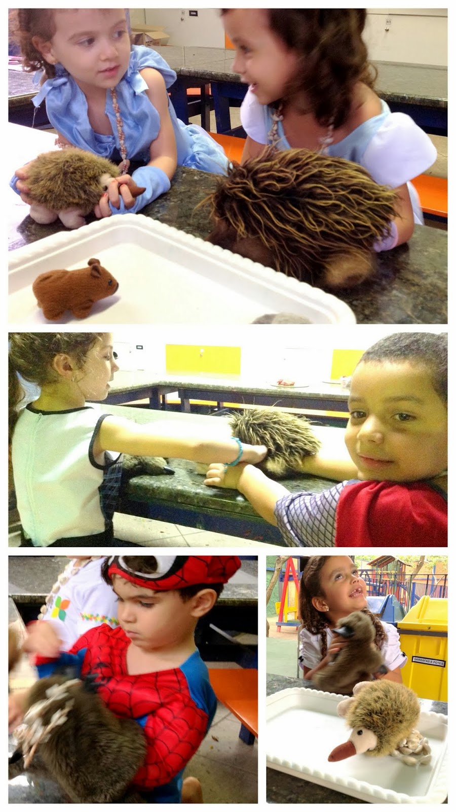 Upuerê: Australia Project - Story: Wombat Stew