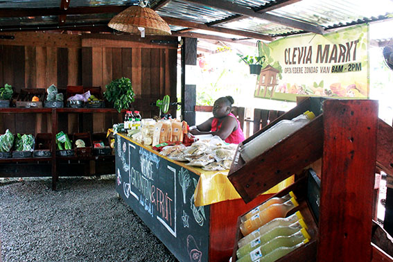 Through the Lens of Judith Redmount: My Trip To the Clevia Park ...