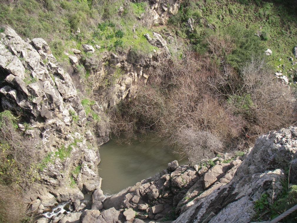 الجــــولان AL JAWLAN