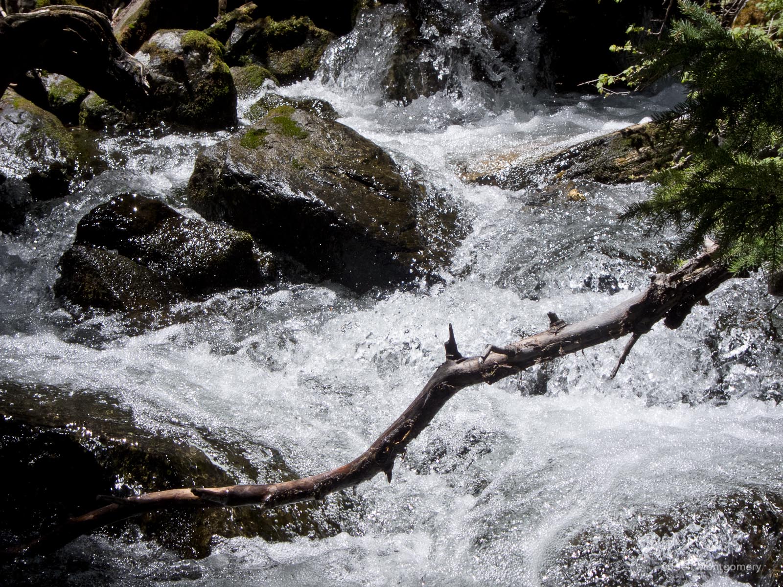 Sunday Stout Lakes Trail Run : The Gravity Syndrome