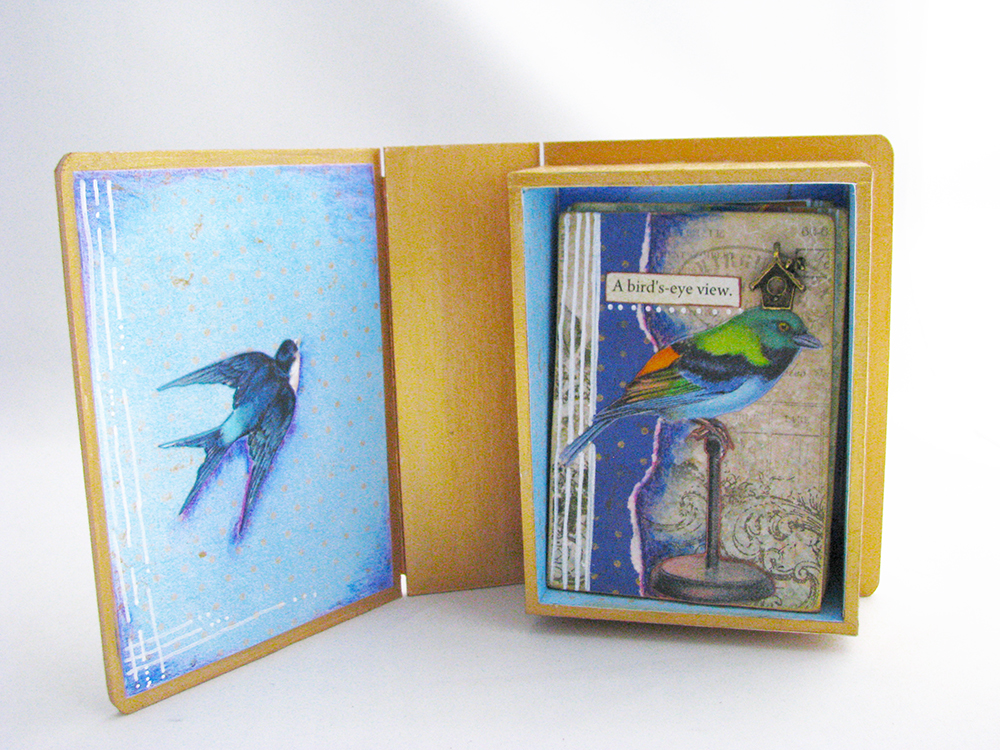 CackleAndHoot: Birds, birds and more birds.