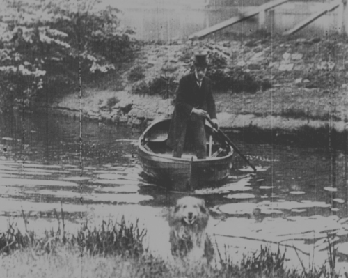 Famous Dogs in History: Blair: The First Canine Film Star