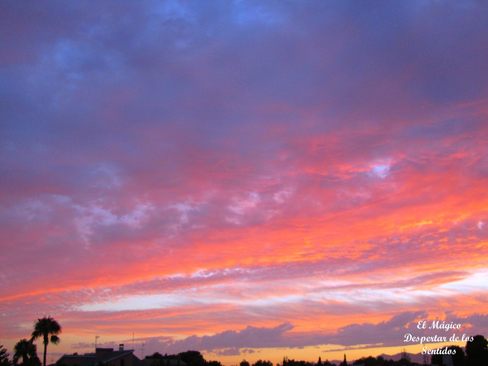 Mágico Despertar: UN REGALO DEL UNIVERSO EN EL CIELO