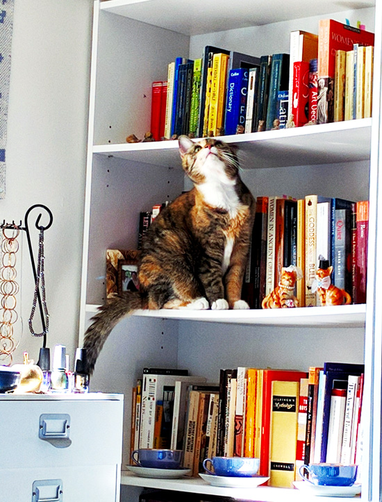 brutally honest beauty: Little things to make your grad student or ...