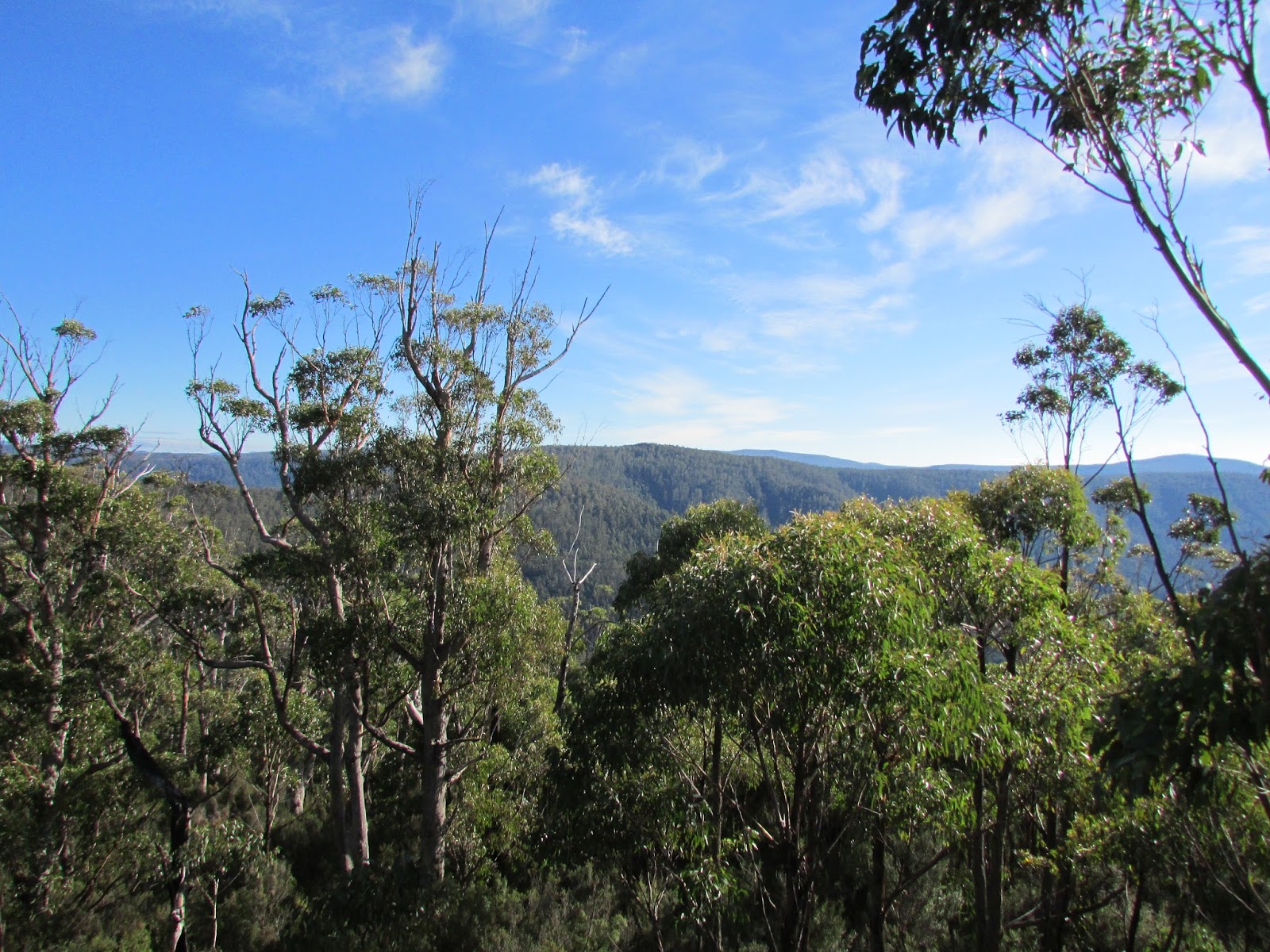 Mount Misery | Hiking South East Tasmania