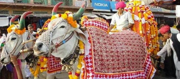 Bilara City: The KASHMIR of western Rajasthan!