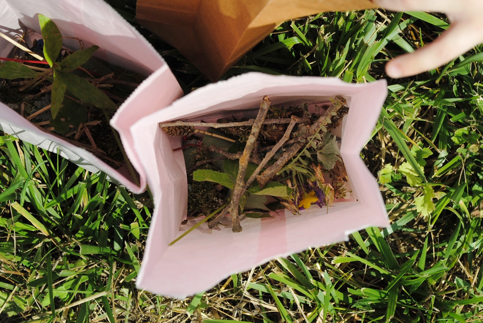 peppysis: Nature Boxes