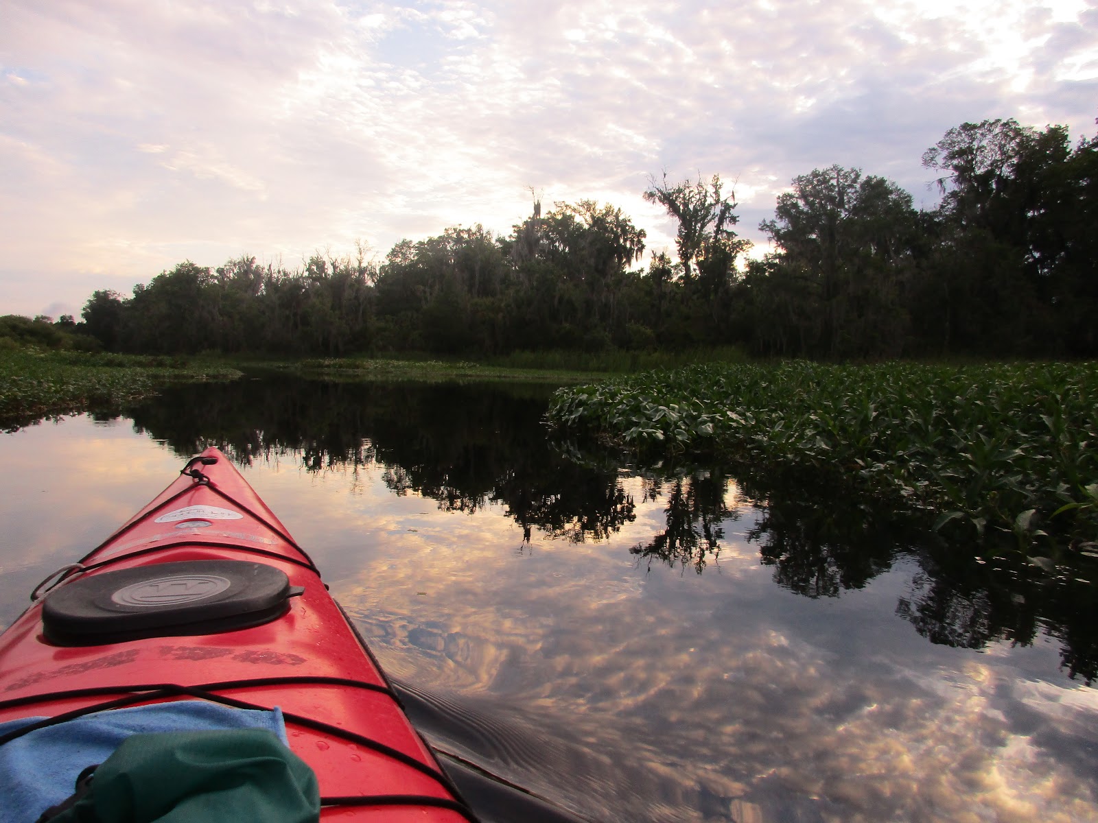 Dave's Yak Tales: Wekiva River