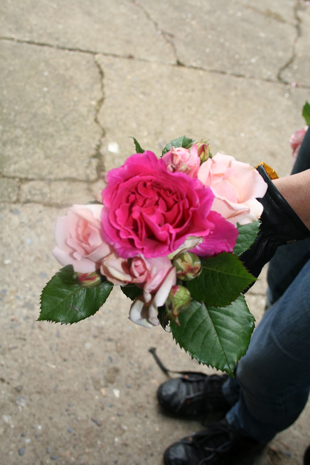 Danaë's Country Roses: Wedding roses for Charlotte and Clem grown by ...