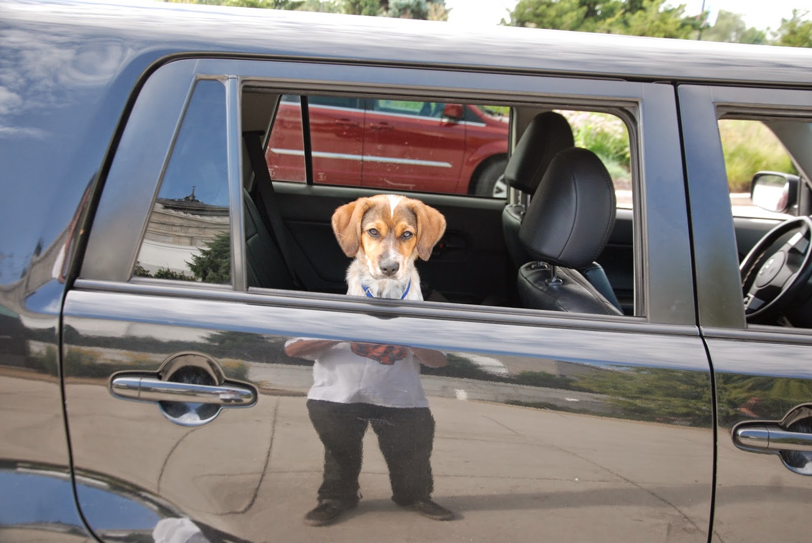 PHILINPHLASH: NEWS PHLASH - PUBLIC EYE CHICAGO - KANE WINS THE GAME ...