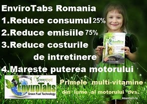 ECONOMIZOR-AUTO: DE CE SA FOLOSITI ENVIROTABS?