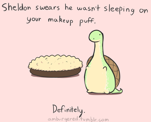 the dayly grimlin: sheldon turtle