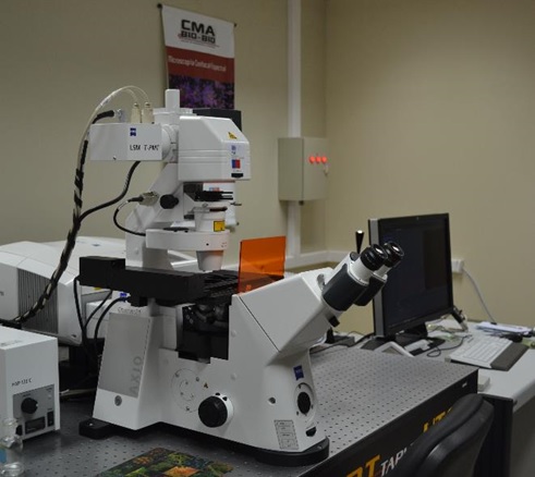 NOTICIAS: Centro de Microscopía Avanzada Biobío, un centro de ...