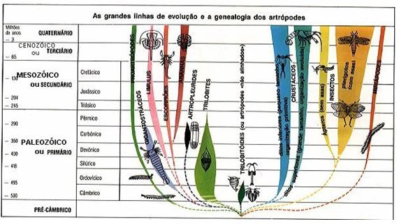 EstPal: Paleogénico e Neogénico