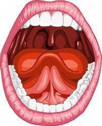 Kesihatan, Kecantikan Dan Petua: PETUA RAWATAN BENGKAK TONSIL