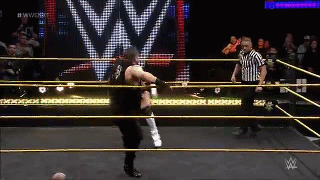 Alex Riley (2015 Return) ♔ Explosive Wrestling Gifs