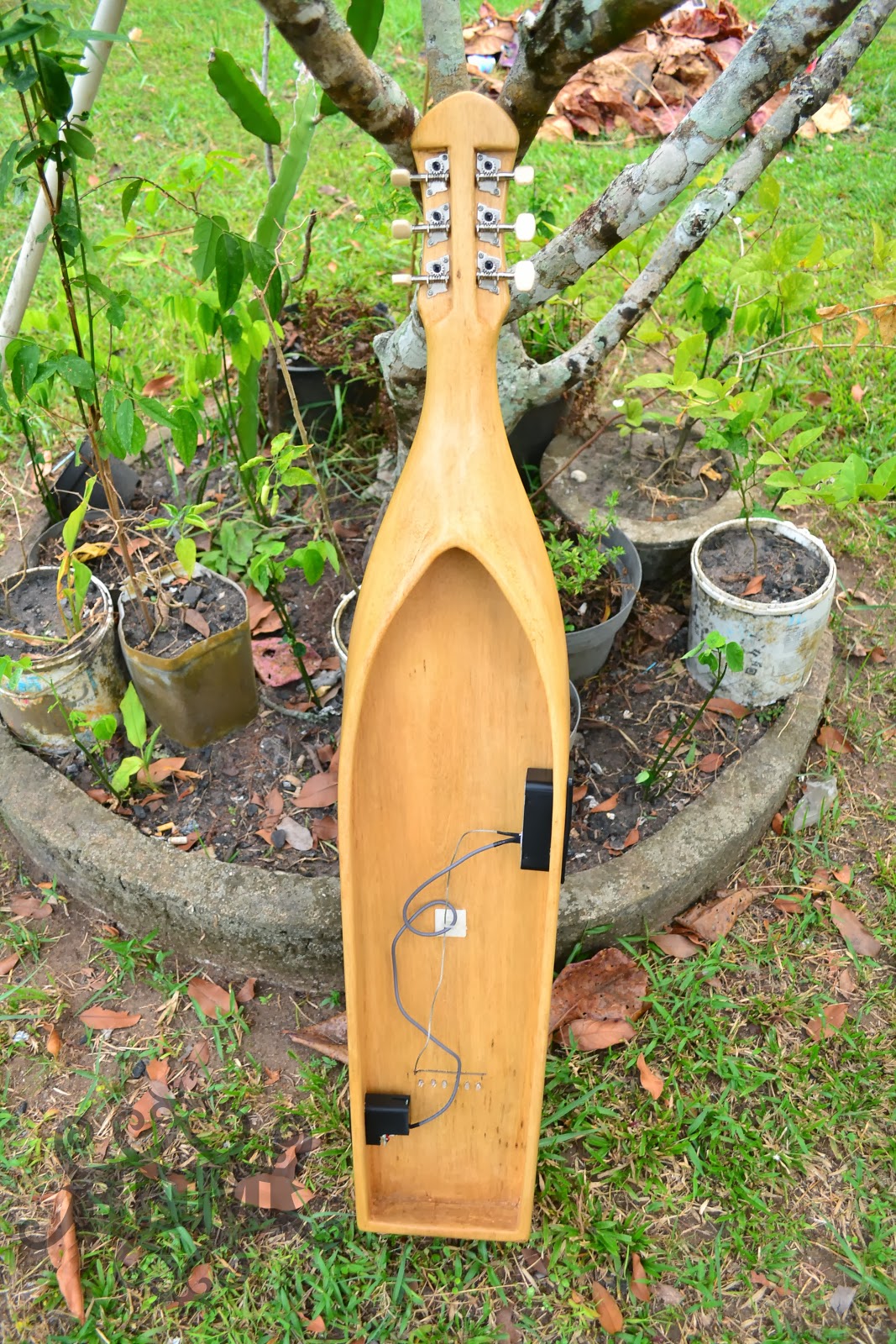 Borneo Native Musical Instrument: Sape' 3