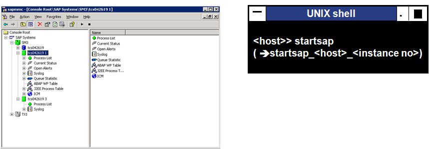 Sap Basis Consulting Startup And Shutdown Of As Abap Systems