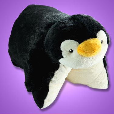 Pillow pet images