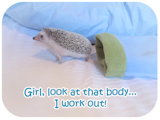 Poggy's Special Inside-Out Pouch : Behind Mytutorlist.com